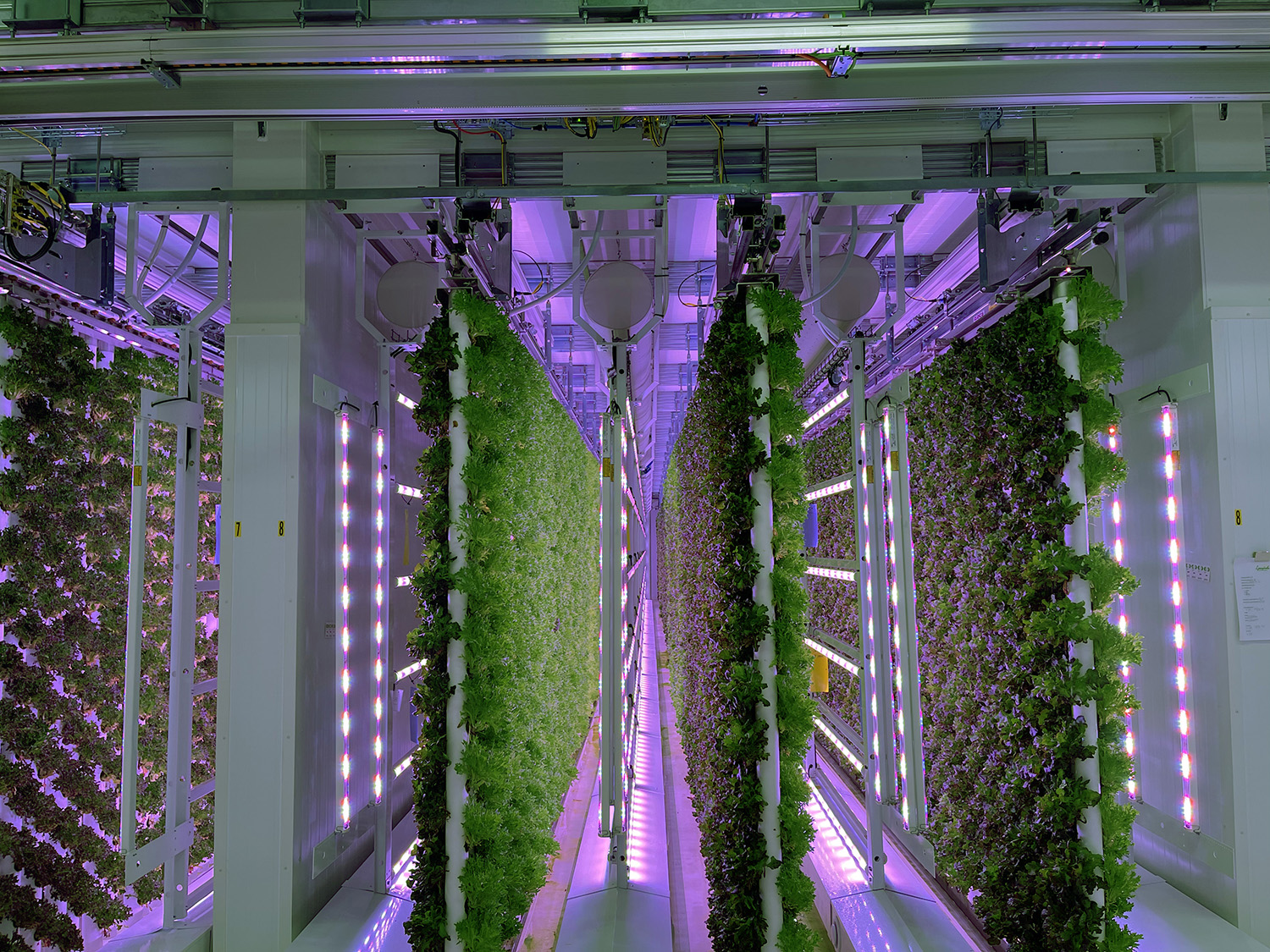 Vertical farming - OCS